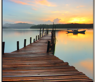 VPai 360 Cameras - VIA Gallery